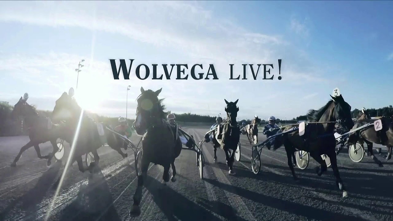 Wolvega Live - Total Horse Channel | Equestrian TV