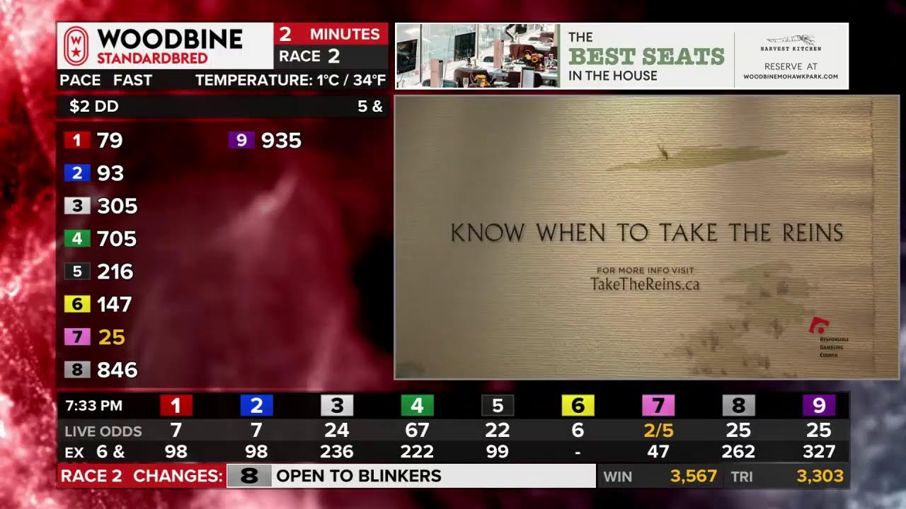Woodbine Mohawk Park | February 2nd, 2024 - Total Horse Channel ...