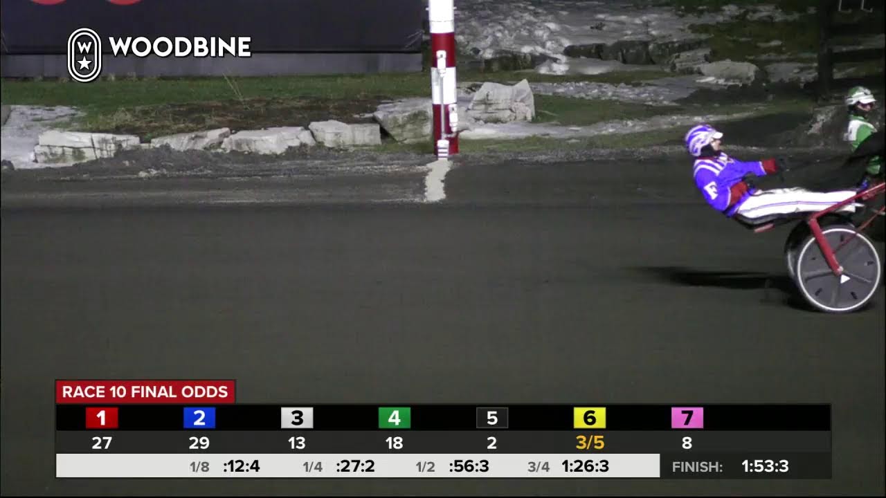 Woodbine Mohawk Park Live Stream – January 29, 2024 - Total Horse ...