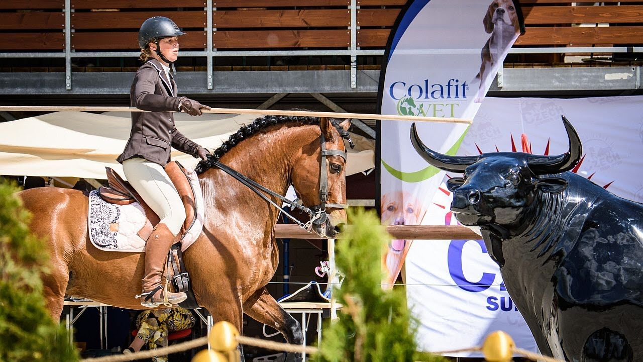 Working Equitation Královice| June 11th, 2023 | Czech Summer Open ...