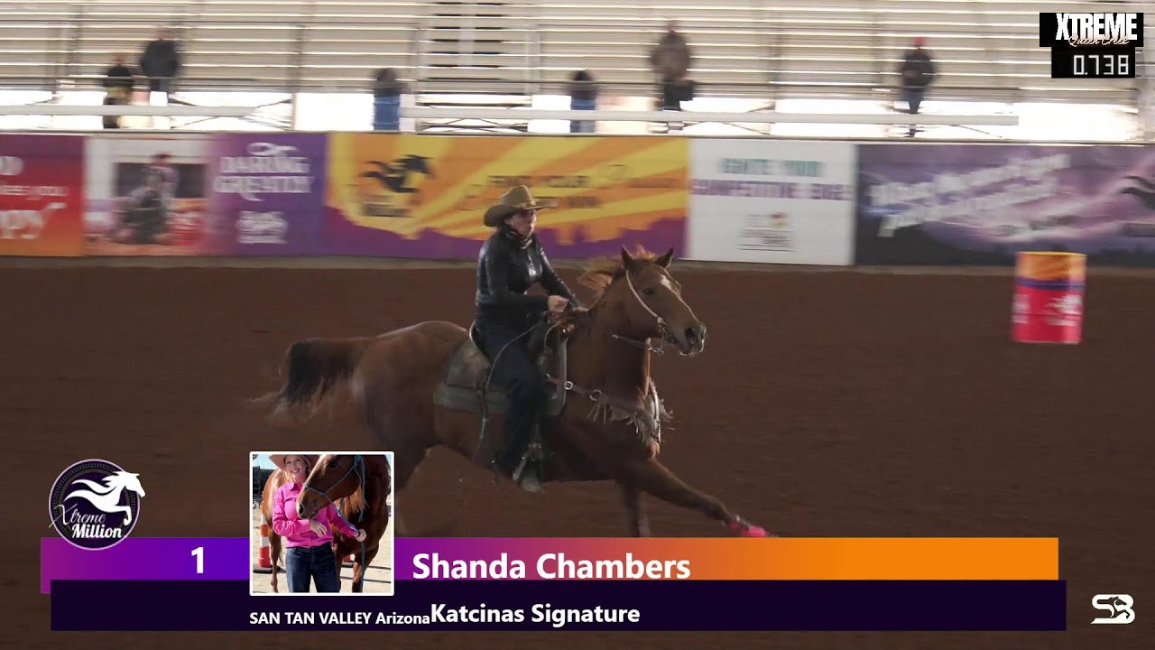 Xtreme Mini Million Performance 2 of 3 - Total Horse Channel ...