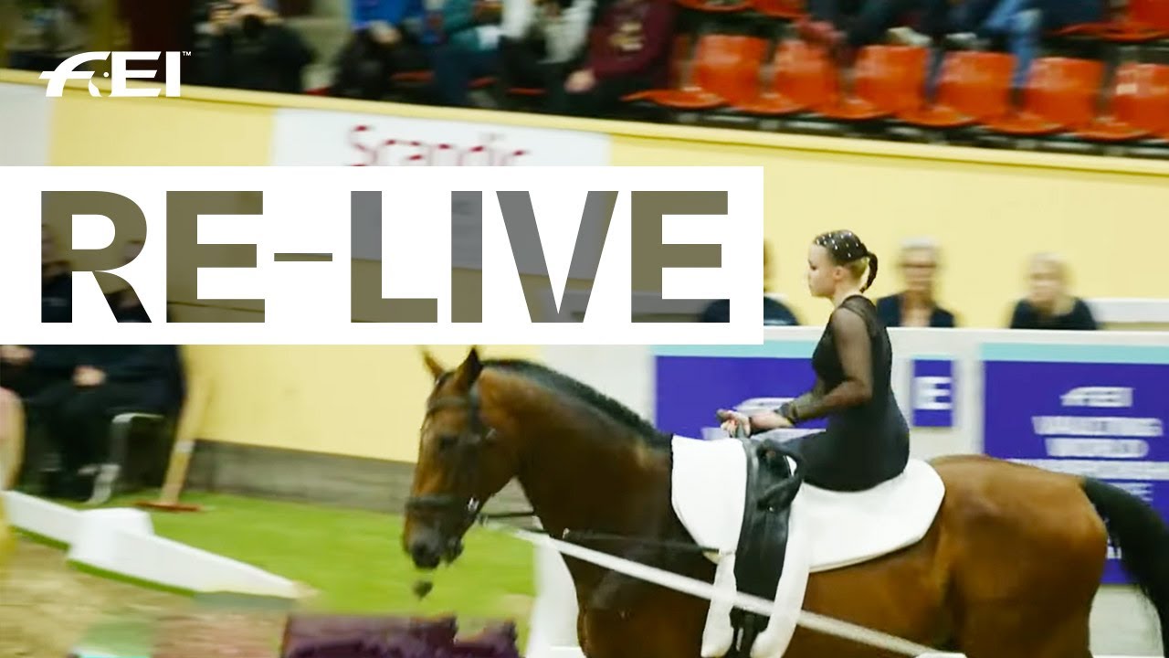 Young Vaulter Technical I FEI Vaulting World Champ for Juniors & Young ...