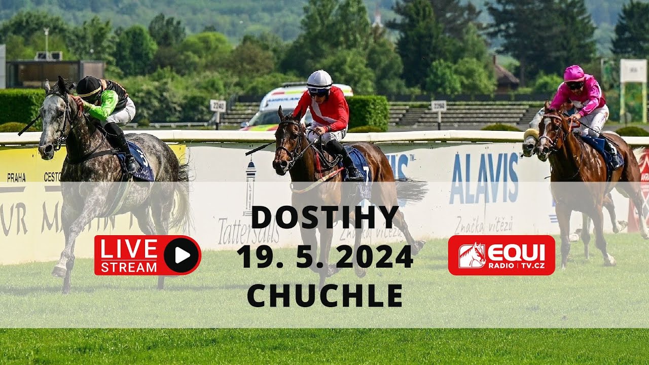 ŽIVĚ 🔴 | dostihy Chuchle – 19. 5. 2024 - Total Horse Channel ...