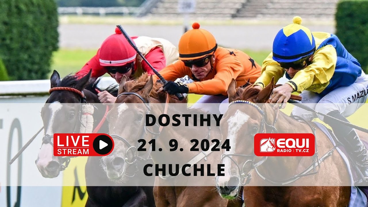 ŽIVĚ 🔴 | dostihy Chuchle Arena Praha – 21. 9. 2024 - Total Horse ...