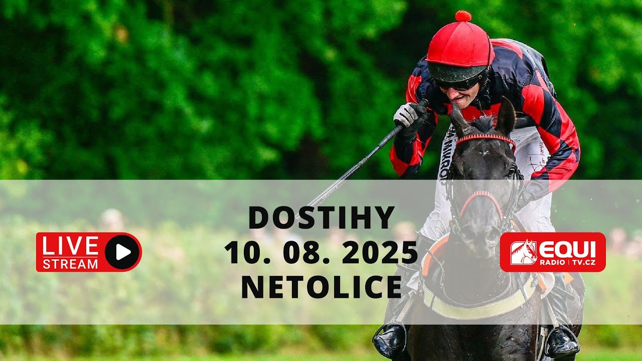 ŽIVĚ 🔴 | dostihy Netolice – 10. 8. 2025 - Total Horse Channel ...