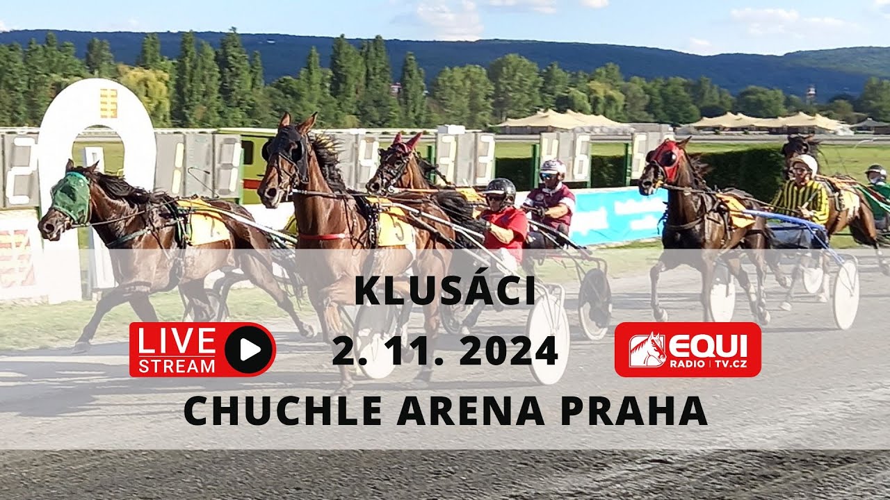 ŽIVĚ 🔴 | klusáci Chuchle Arena Praha – 2. 11. 2024 - Total Horse ...