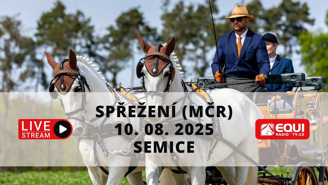 ŽIVĚ 🔴 | spřežení (parkur) MČR Semice – 10. 8. 2025 – Total Horse ...