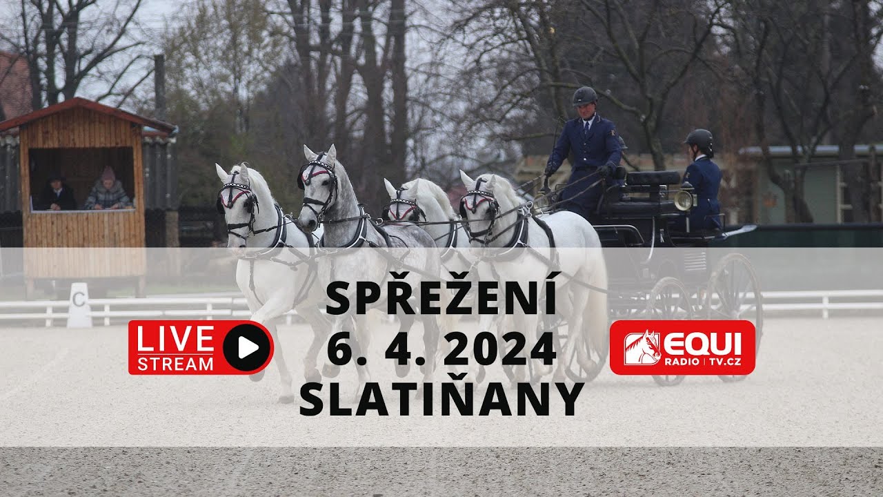 ŽIVĚ 🔴 | spřežení Slatiňany – 6. 4. 2024 - Total Horse Channel ...