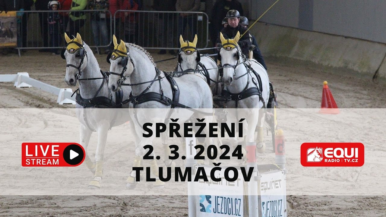 ŽIVĚ 🔴 | spřežení Tlumačov – 2. 3. 2024 - Total Horse Channel ...
