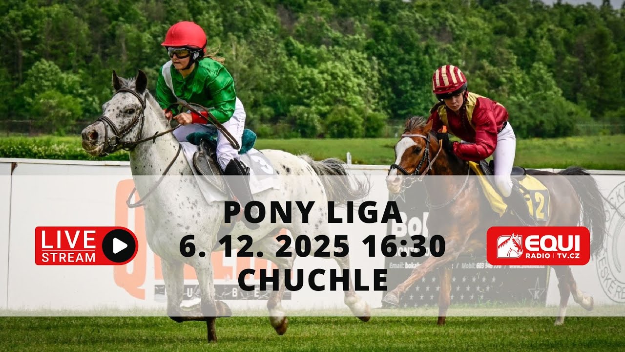 ŽIVĚ 🔴 | udílení cen Pony ligy – 6. 12. 2025 - Total Horse Channel ...