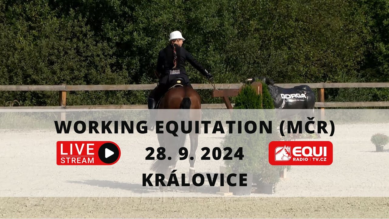 ŽIVĚ 🔴 | Working Equitation MČR Královice – 28. 9. 2024 - Total Horse ...